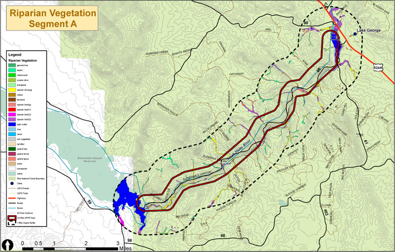 Riparian Vegetation – Segment A – SPEB