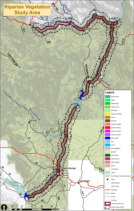 Riparian Vegetation – All Segments – SPEB