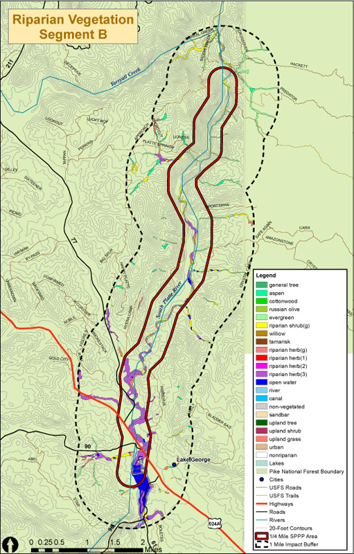 Riparian Vegetation – Segment B – SPEB