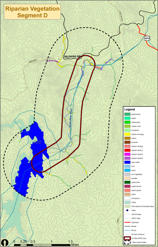 Riparian Vegetation – Segment D – SPEB
